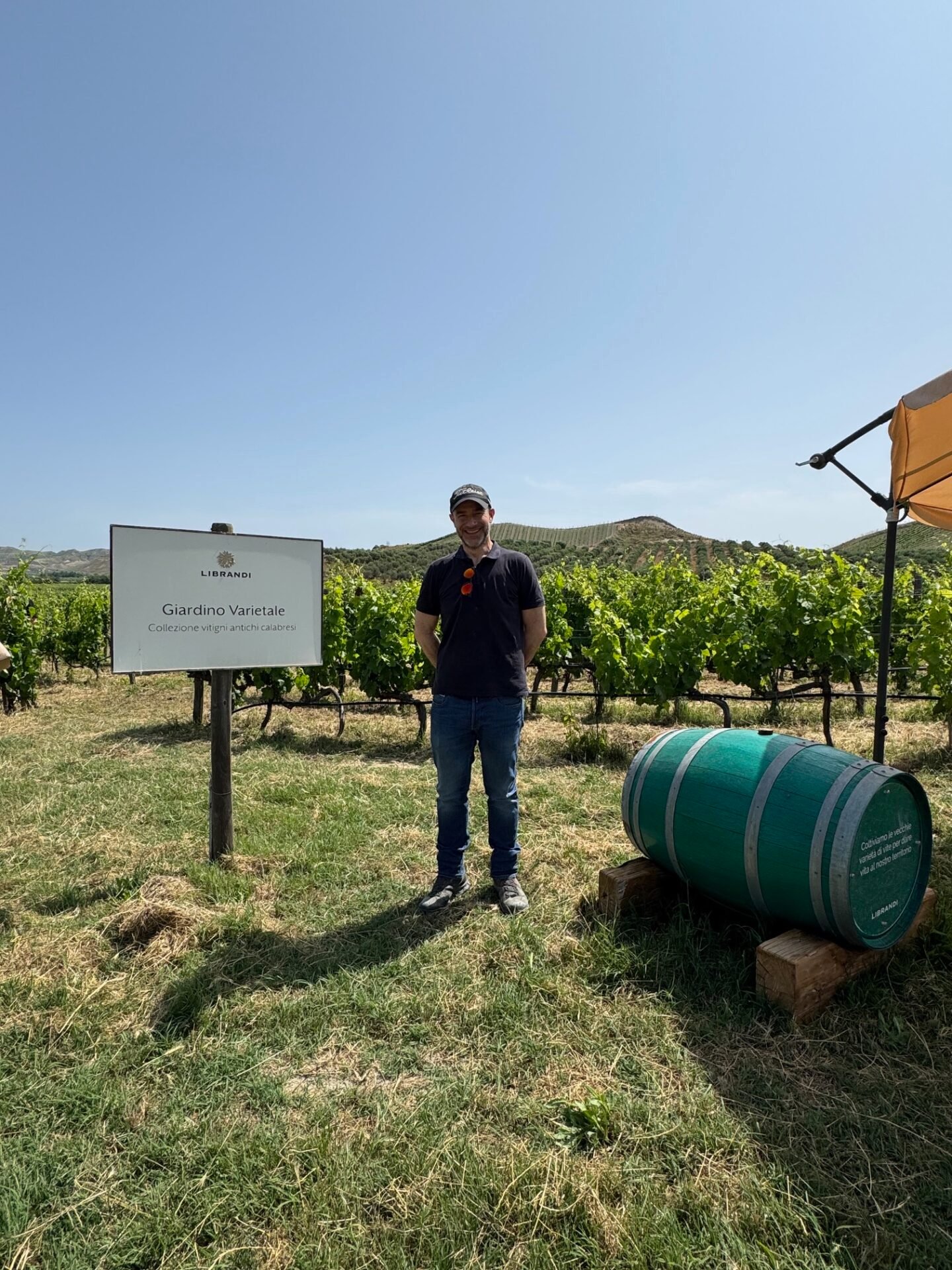 Librandi vini : storia, tenute e degustazioni dal Cirò DOC - Sapori News
